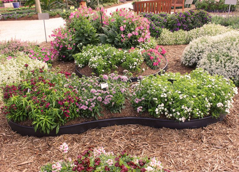 » How to Choose Shade Plants for Small Spaces: Tips for Beginners